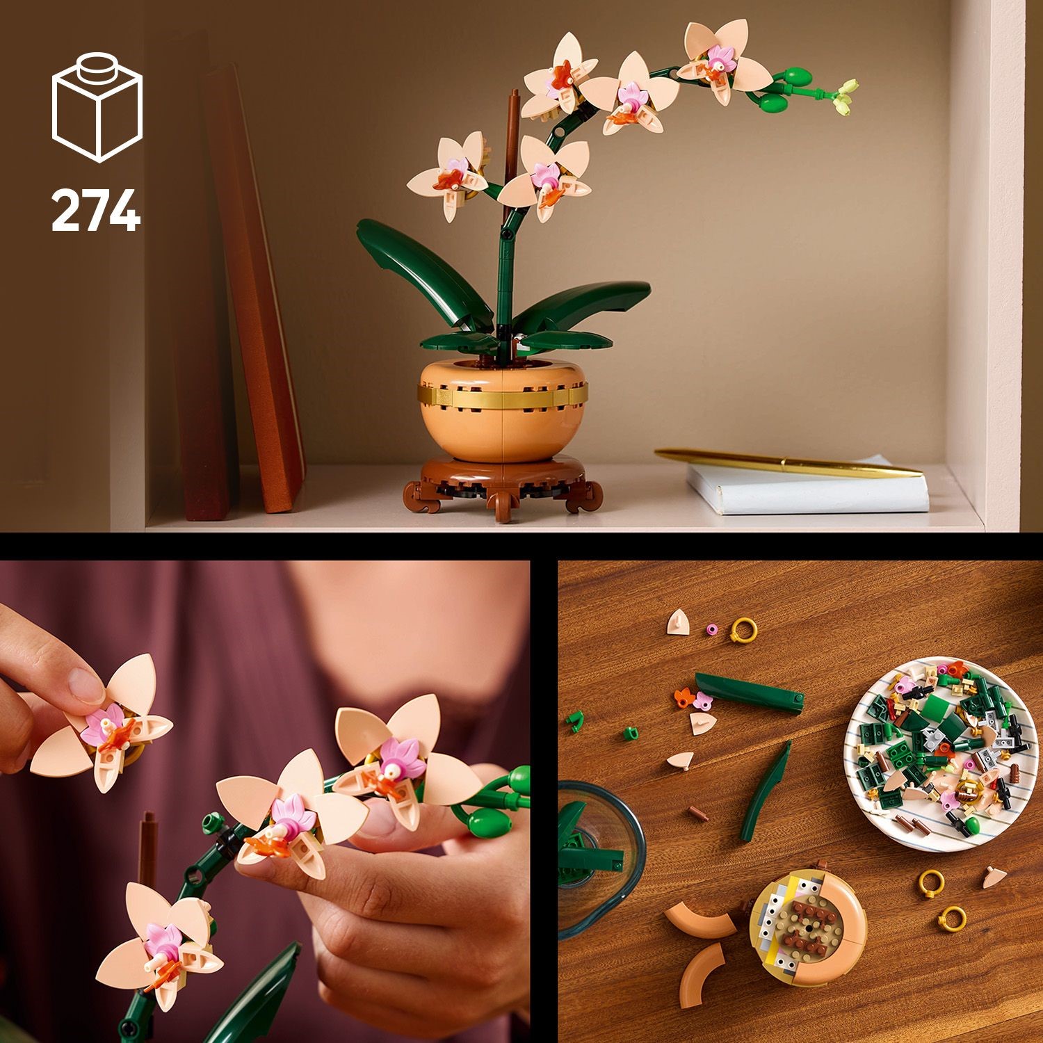 LEGO 10343 Botanicals Icons Mini Orchid Building Set (274 Pieces)