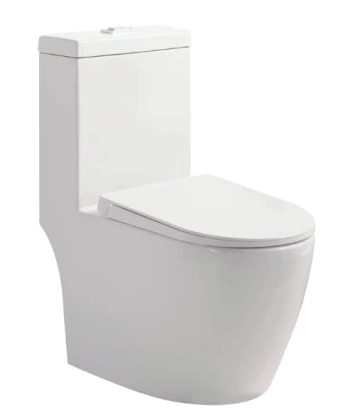 Saniware One Piece WC Toilet Bowl S-Trap Wash Down Water Closet 10 Inch ...