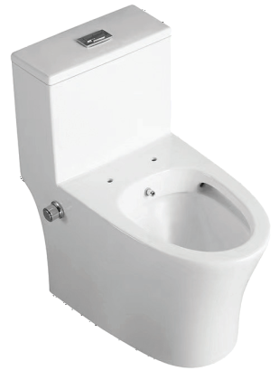Saniware One Piece WC Toilet Bowl S-Trap Wash Down Water Closet 10 Inch ...