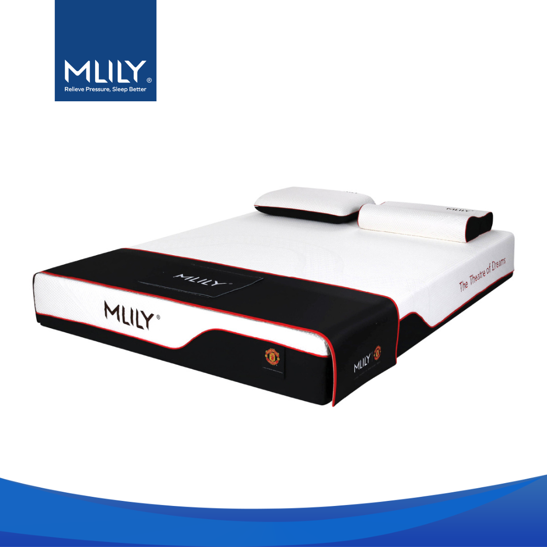 Mattress MLILY Mattress Malaysia