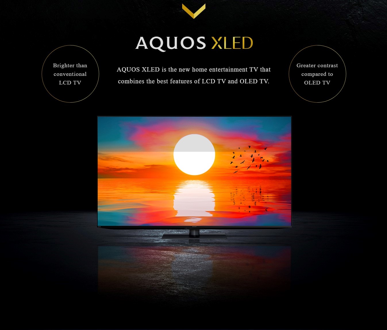 Sharp 65" 4K UHD Smart Android Aquos XLED TV 4TC65FV1X | Seng Huat