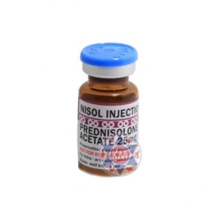 Nisol Inj 250mg 10ml/vial 25's box | UMH Pharmacy