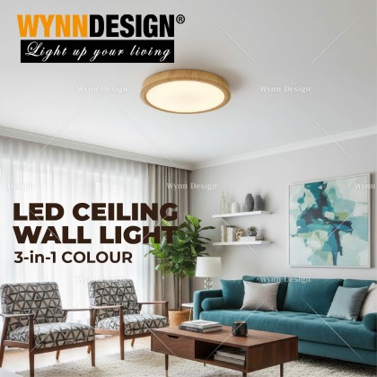 Wynn Design LED Ceiling Wall Light | Wynn Design Lightings