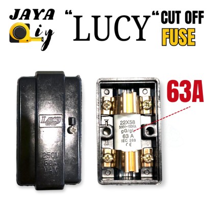 LUCY - 63A TNB Cut Out Fuse High Voltage Heavy Duty 100amps 250V/ 415V ...