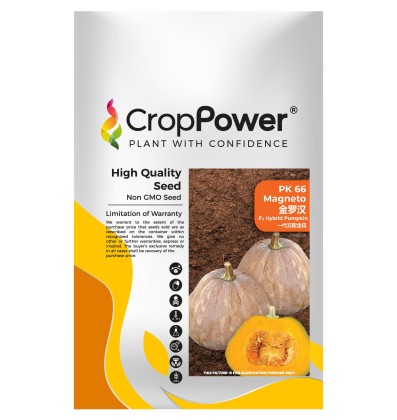 Pumpkin Magneto PK66 | JOM TANAM | Malaysia #1 Tech-Driven Agriculture ...