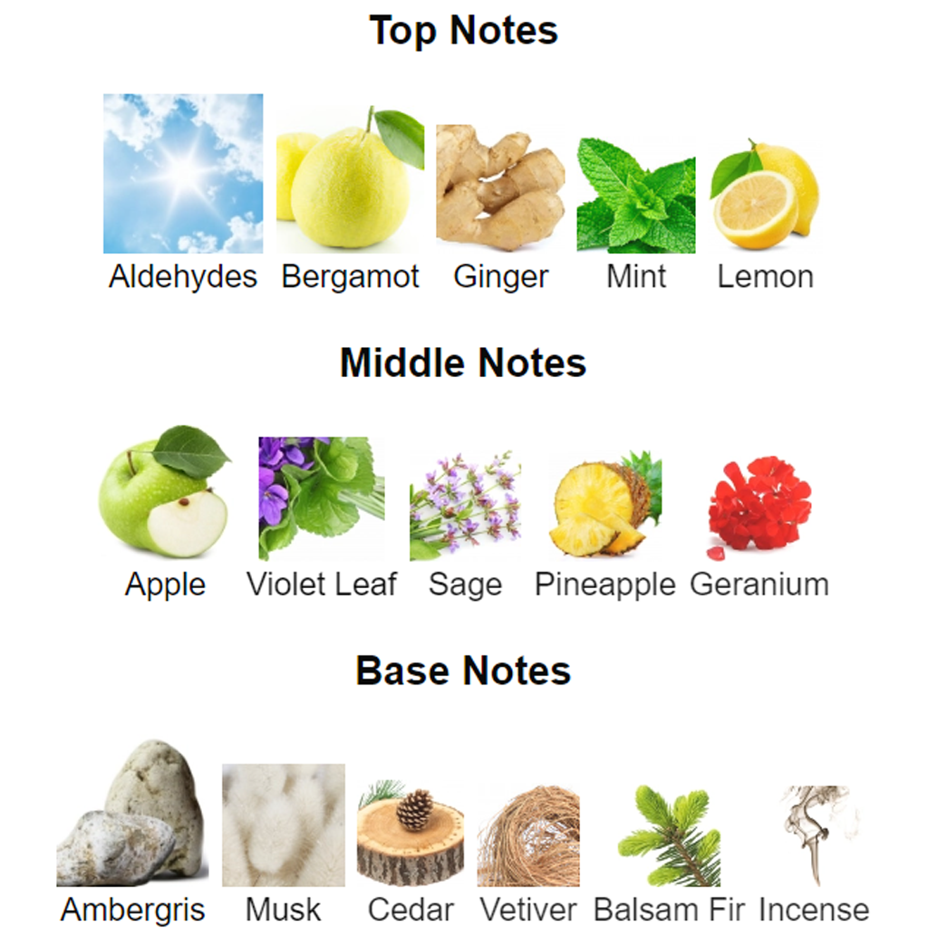 YSL Y for men EDP 100ml + Stick Deodorant Sans Deodorant Stick 75G (100 ...