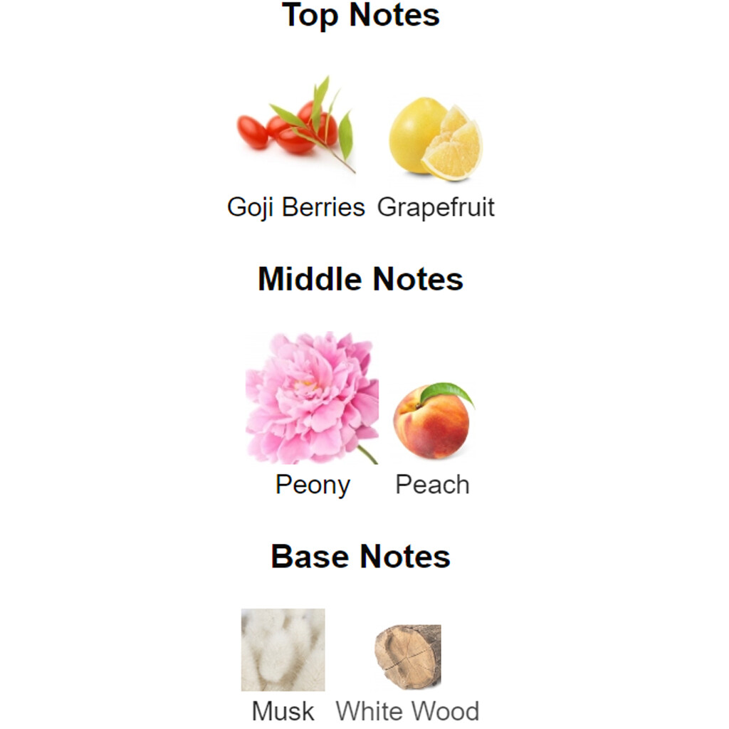 Coach Floral Blush EDP 50ml (100% Original & Authentic Official Coach ...