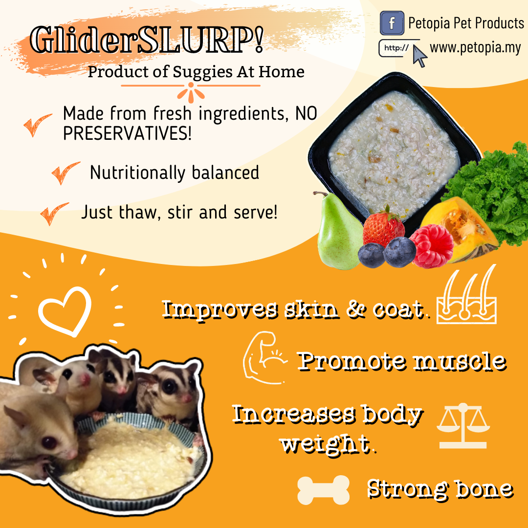 Sugar Glider Frozen Food Recipe at Karen Medina blog