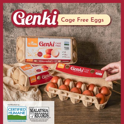 Genki Cage Free Egg | TC FARM – Premium Quality | Cage-Free Eggs & Omega-3