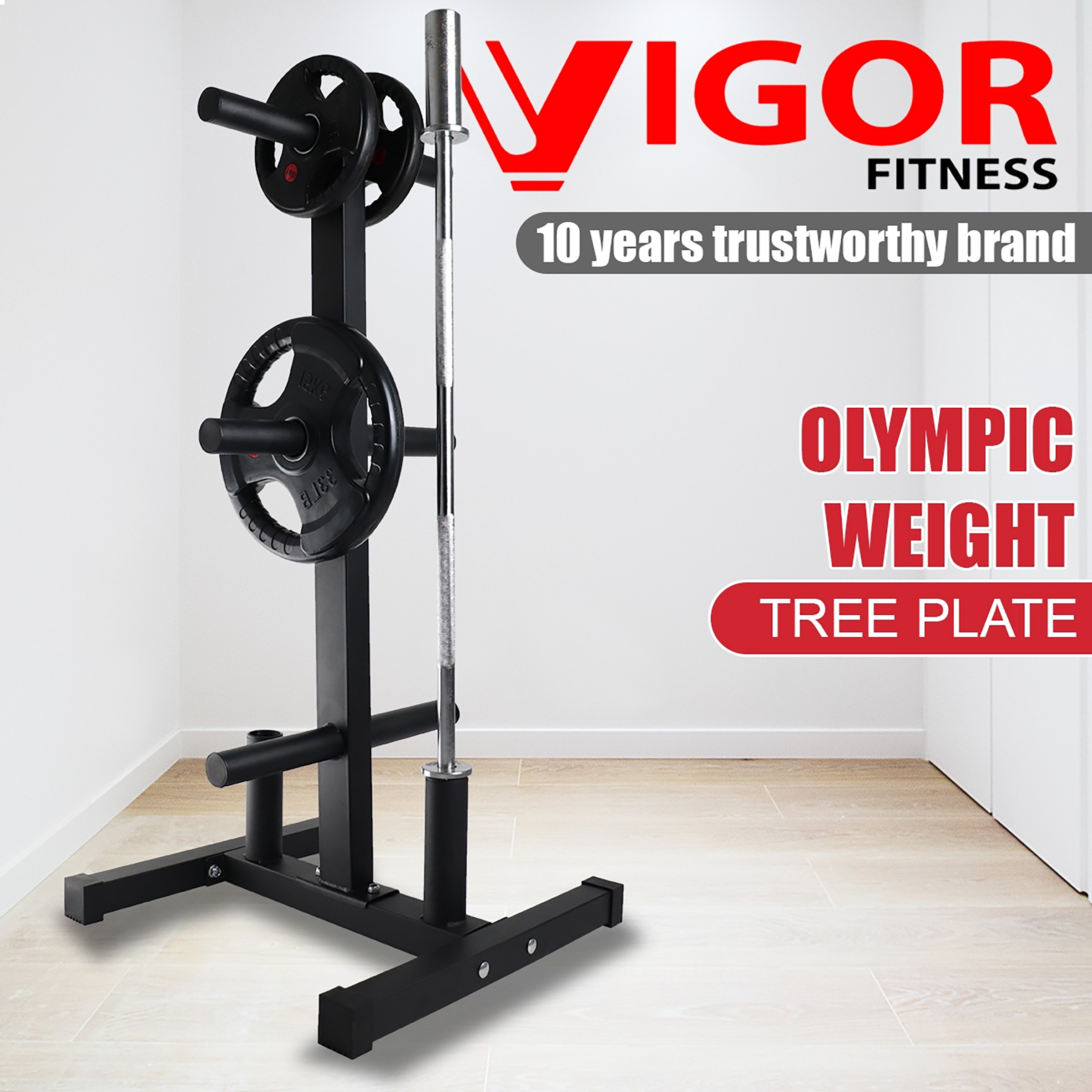 Olympic Weight Plate Tree with 2 Barbell Holders | Malaysia No.1 ...