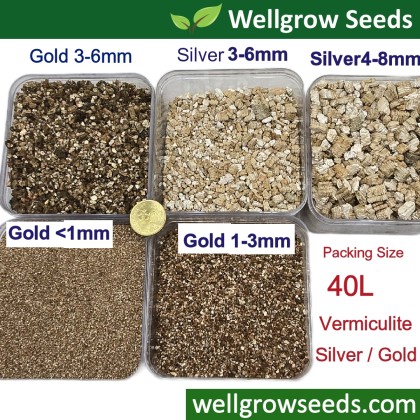 Well Grow Seeds