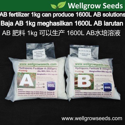 1KG AB Fruiting (Granular) Hydroponics | WHT Wellgrow Seeds